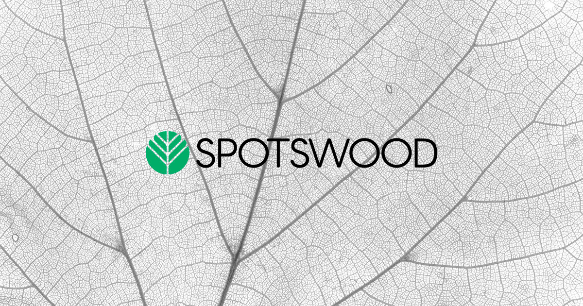 Contact our Business Attorneys for Commercial Litigation | Spotswood Sansom & Sansbury LLC